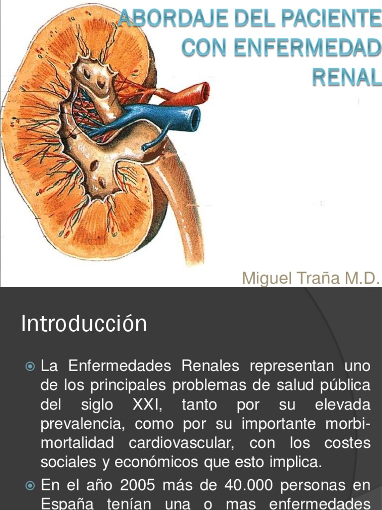 Abordaje Del Paciente Con Enfermedad Renal | Descargar gratis PDF ...