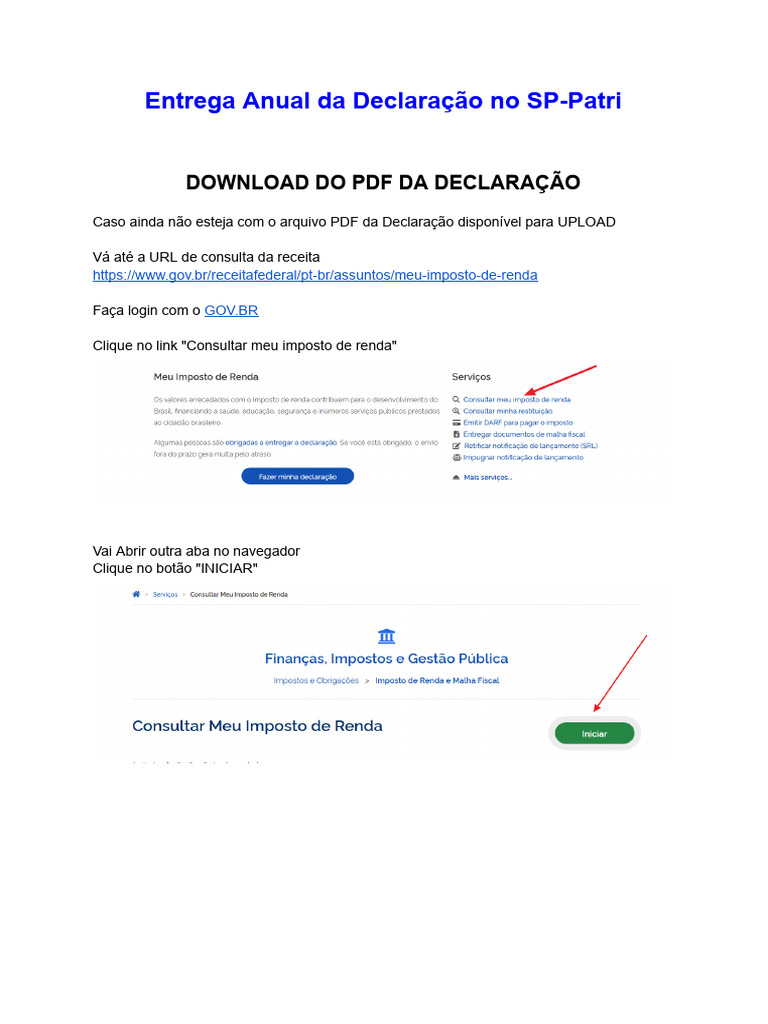 Passo-A-passo - Entrega Anual Da Declaração No SP-Patri | PDF