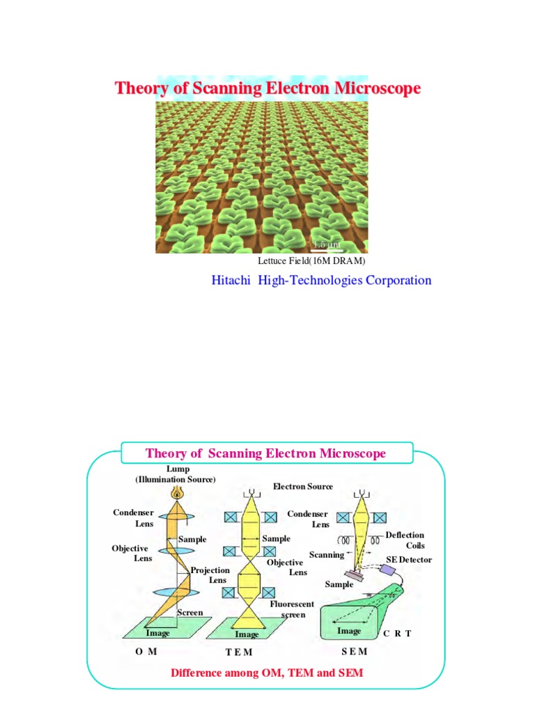 Theory of Scanning Electron Microscope | PDF | Scanning Electron ...
