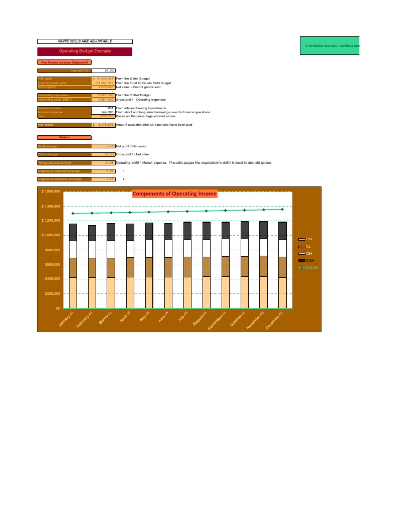 Operating Budget Example | Download Free PDF | Cost Of Goods Sold ...