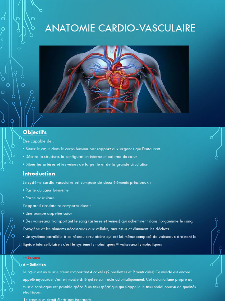 ANATOMIE CARDIO-VASCULAIRE (1) | PDF | Ventricule cardiaque | Aorte