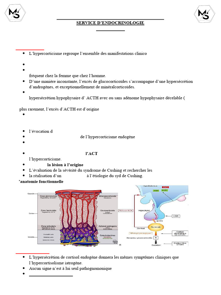 10- Syndrome de Cushing (Version Y) | PDF | Cortisol | Médecine clinique