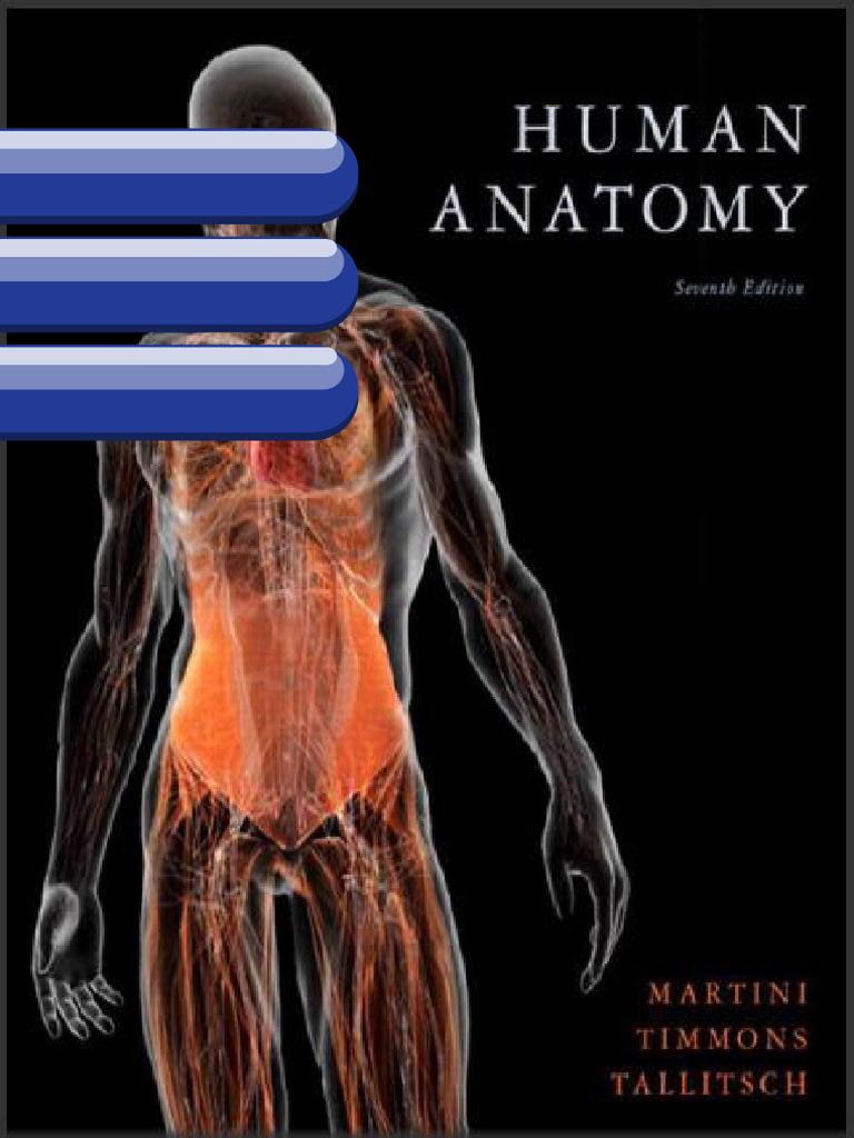 Ebook Test Bank Human Anatomy 7th Edition by Martini | PDF | Kidney ...