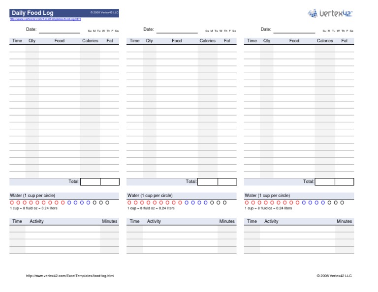 Daily Food Log | PDF
