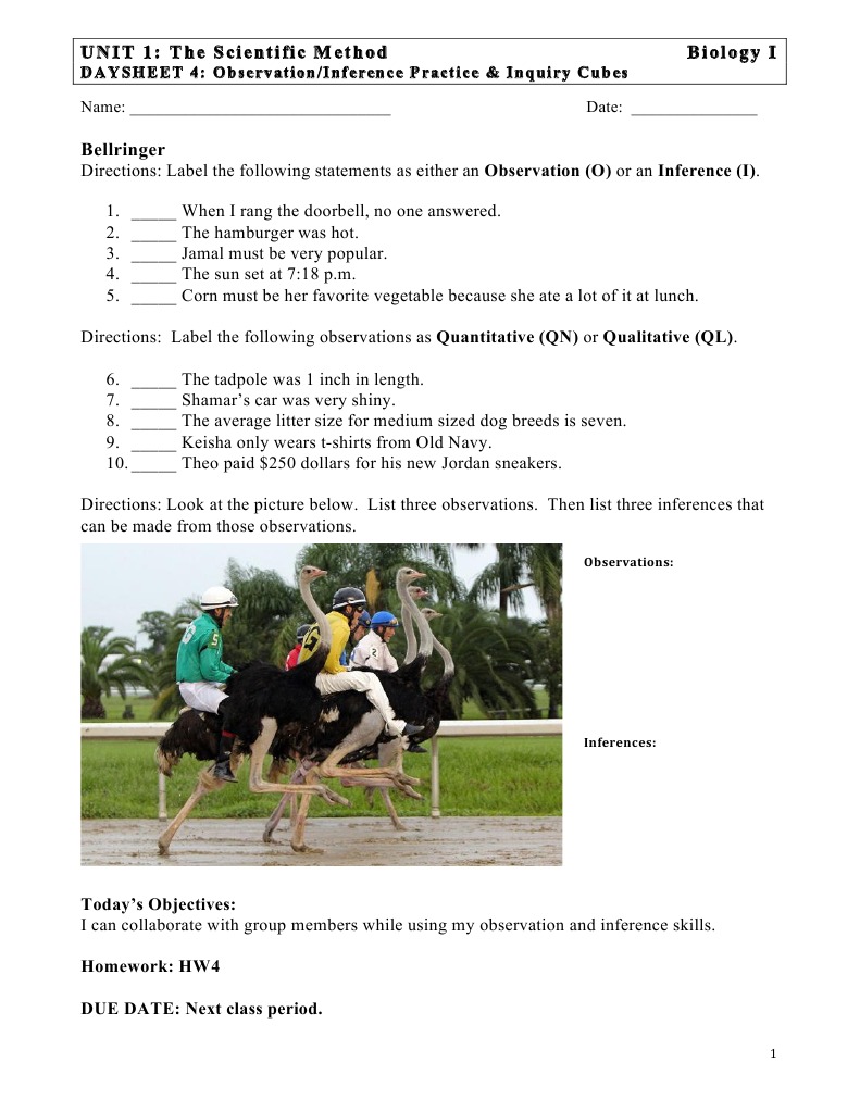 Observation and Inference Practice | PDF | Science