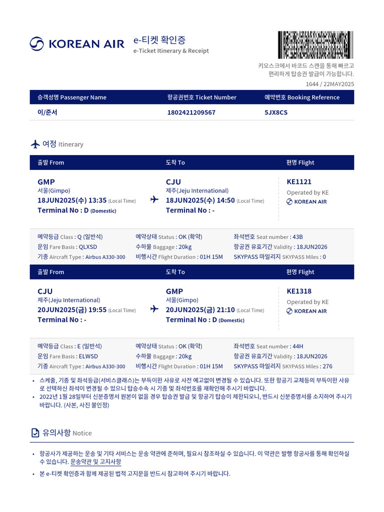 E Ticket | PDF