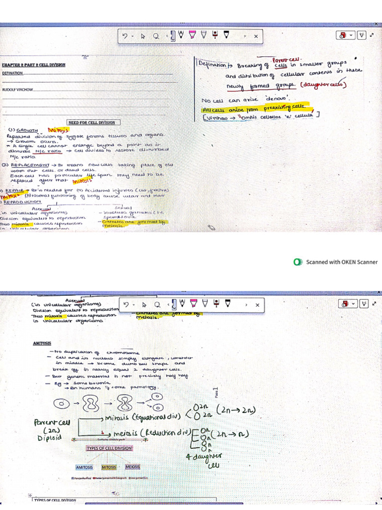 Cell Division Class X Icse | PDF