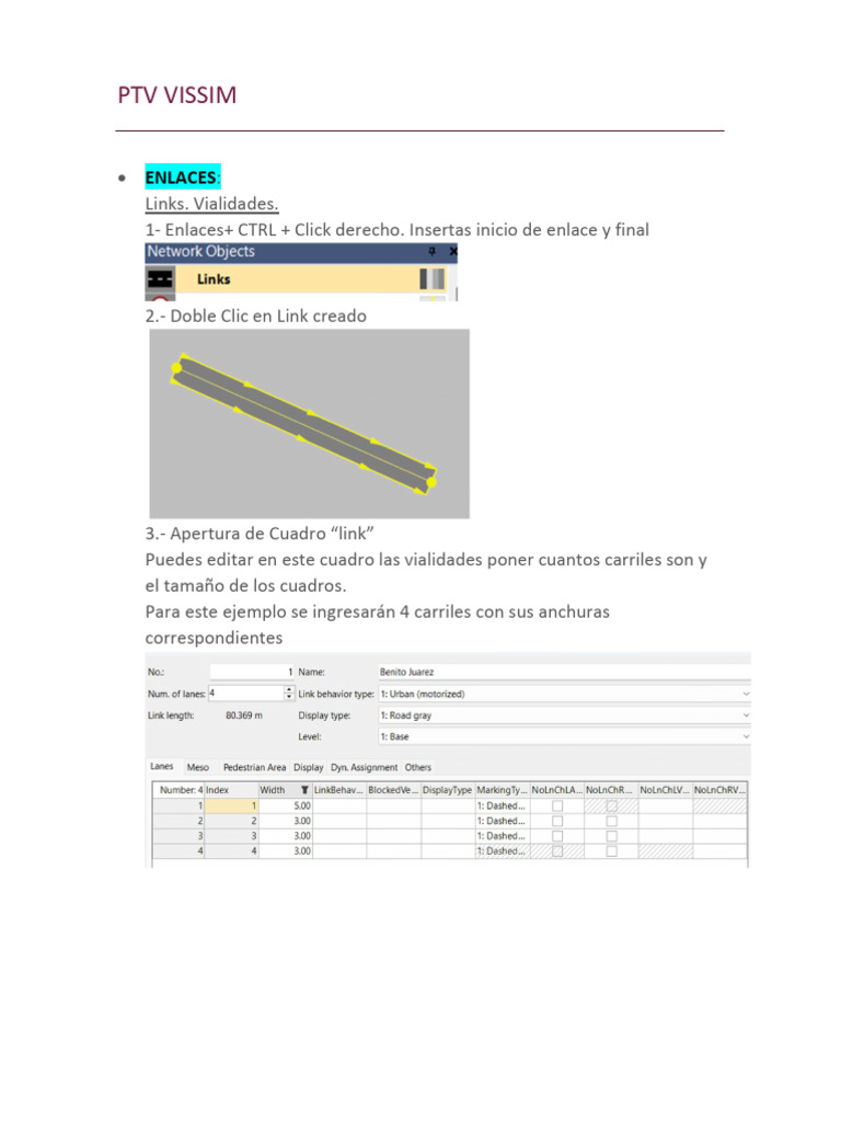 Guía Vissim | PDF