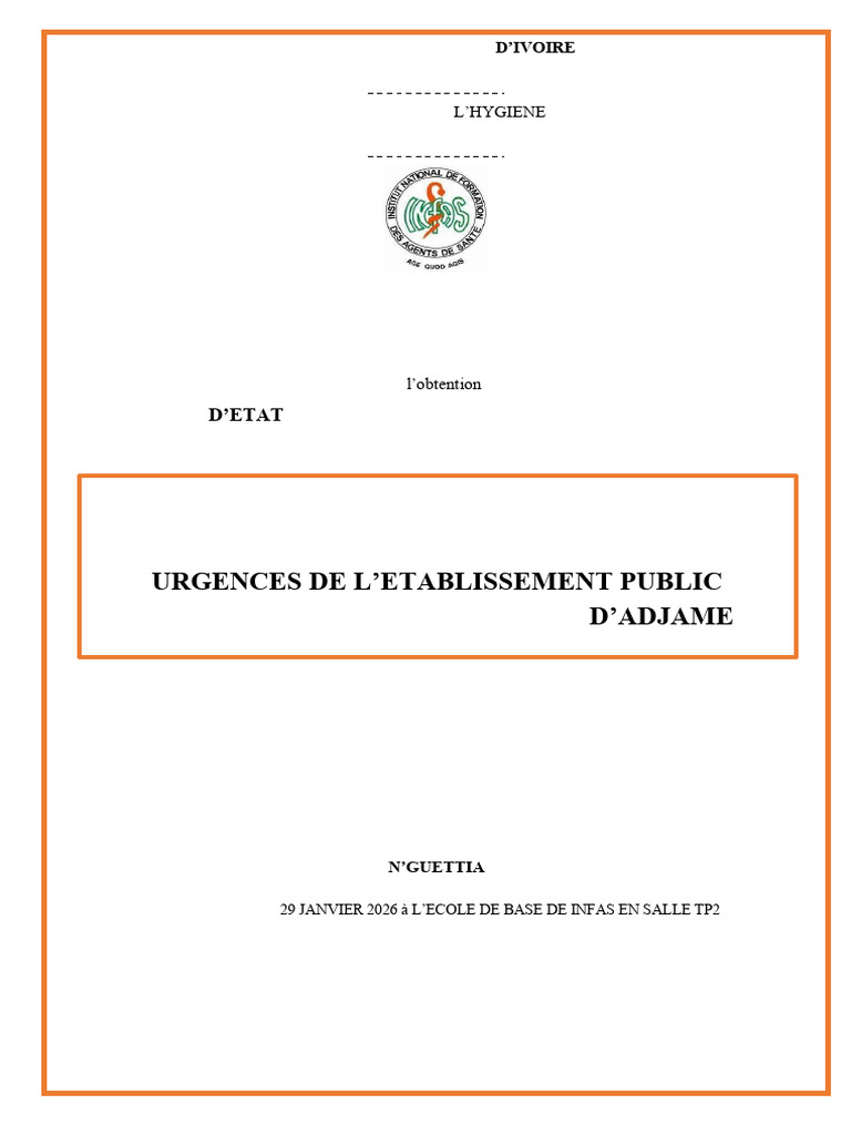 MEMOIRE n°12 IDE correction 1-1 | PDF | Allaitement | Professionnel de ...
