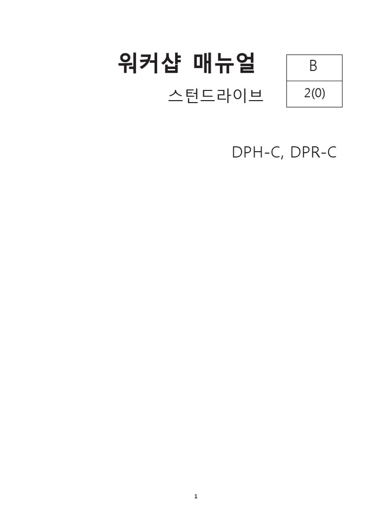 DPH DPR Workshop Manual | PDF