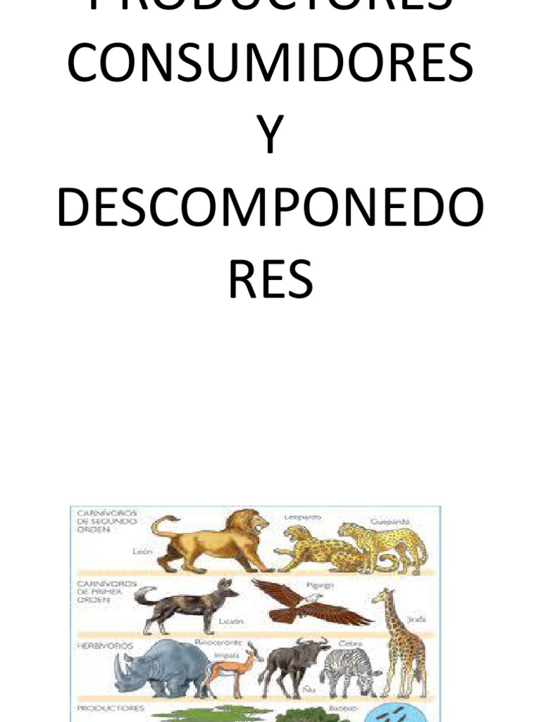Productores Consumidores y Descomponedores | PDF