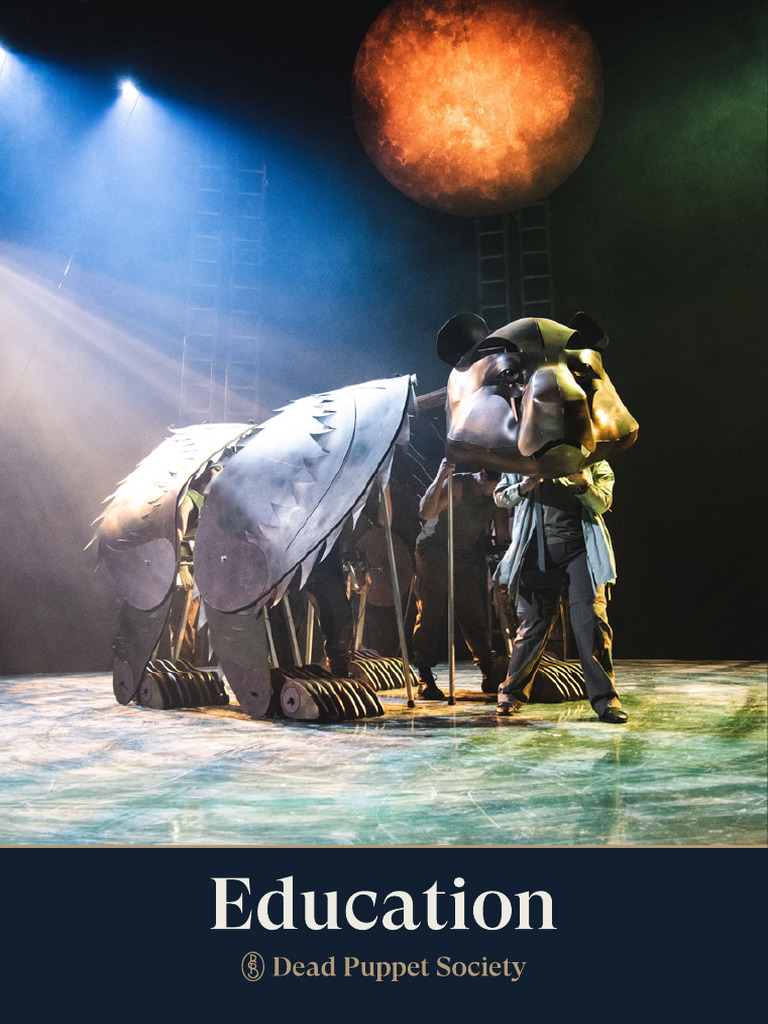 DPS EducationBrochure 2024 | PDF | Puppetry | Puppets
