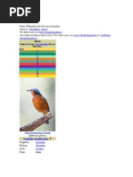 WALC 8 Word Findingml | PDF