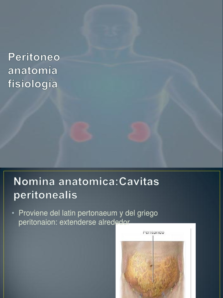 Anatomía y fisiología del peritoneo | PDF | Peritoneo | Diálisis