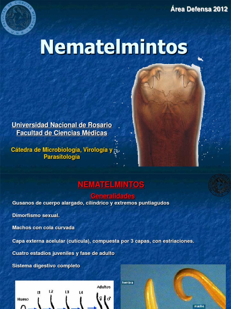 Nematelmintos | PDF | Especialidades Medicas | Enfermedades y trastornos