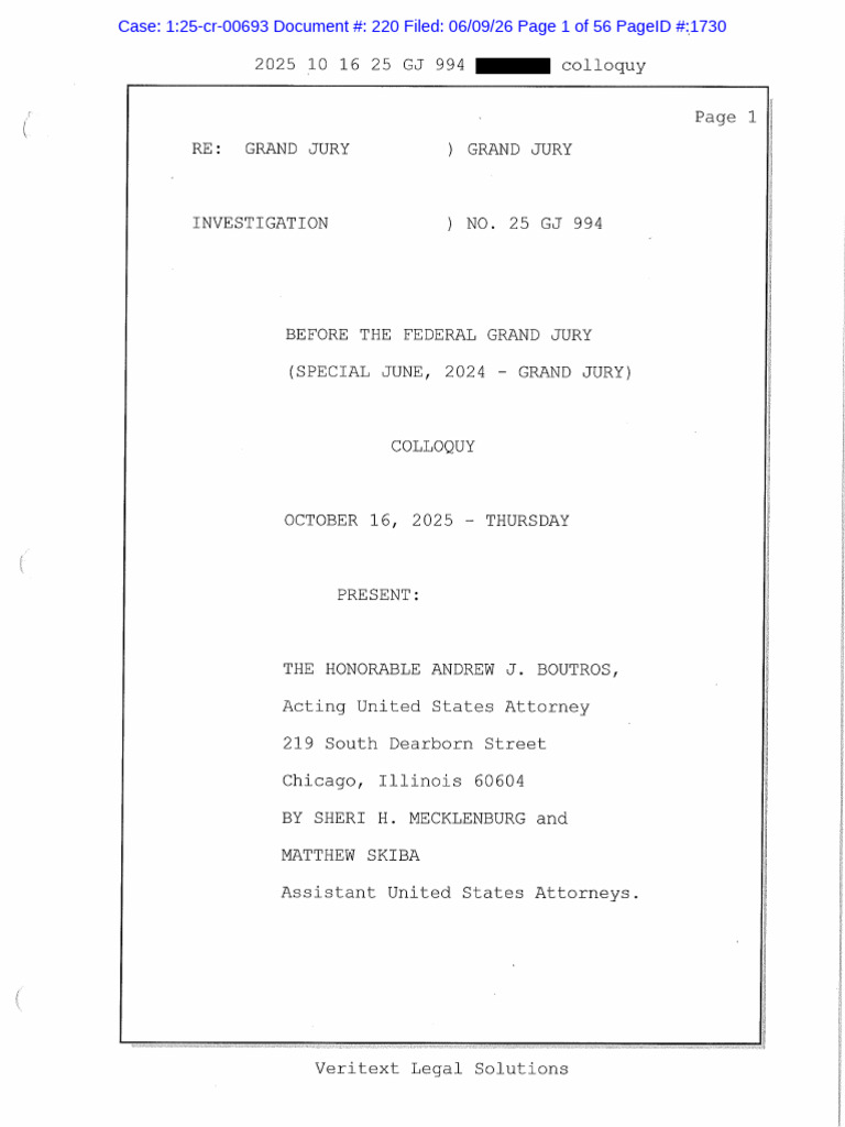 Broadview Six Grand Jury Transcript | PDF | Grand Jury | Assault