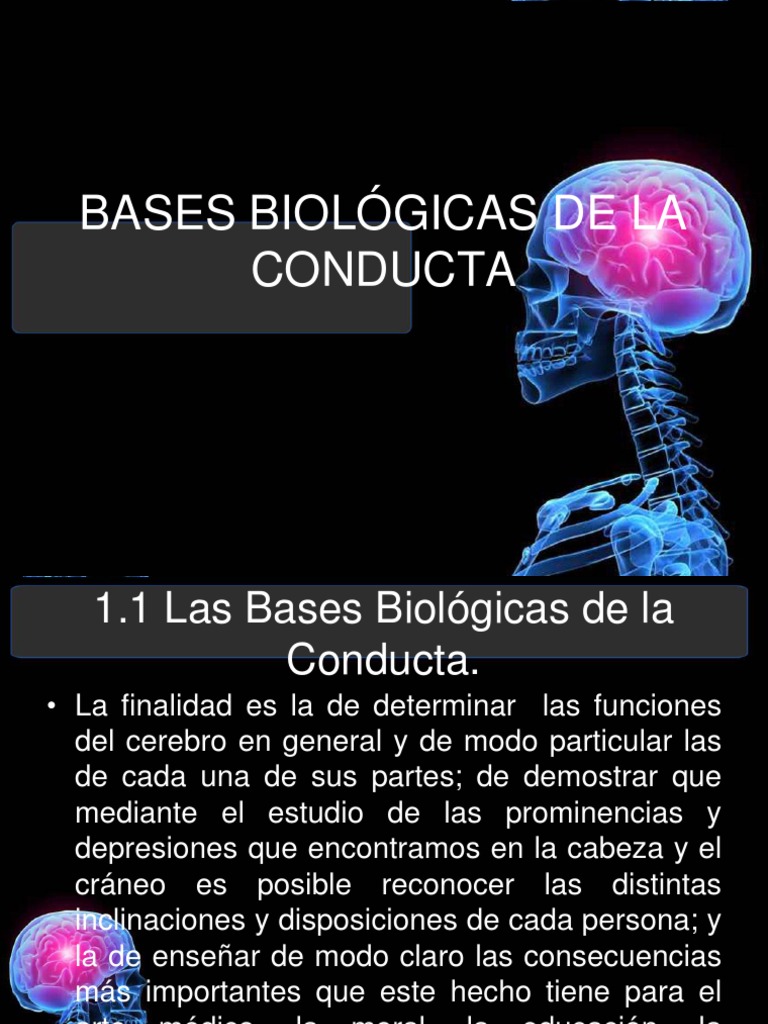 Bases Biologicas de La Conducta | PDF | Sistema nervioso central | Tálamo