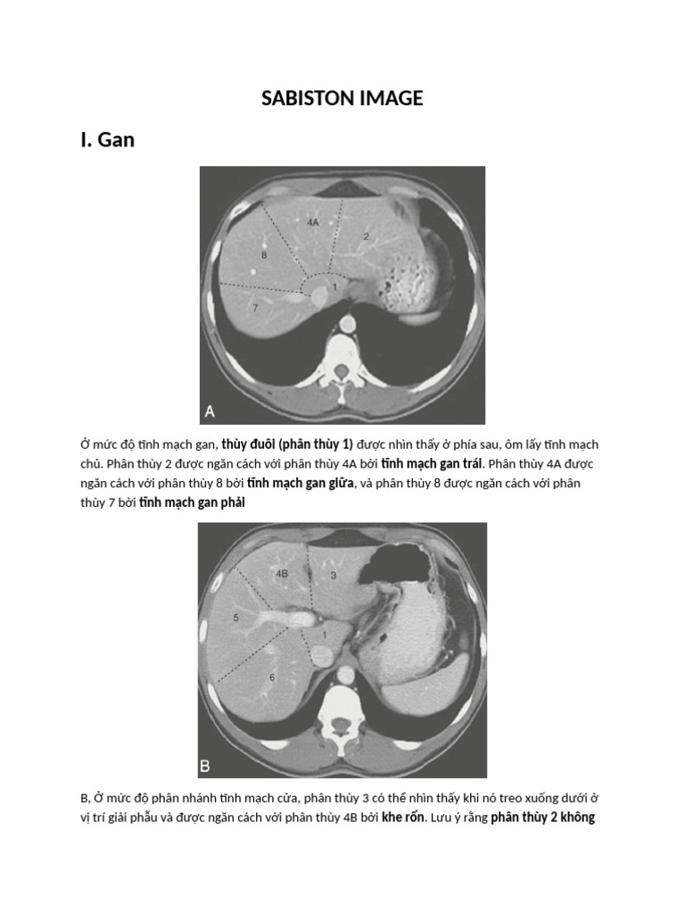 Sabiston Image | PDF