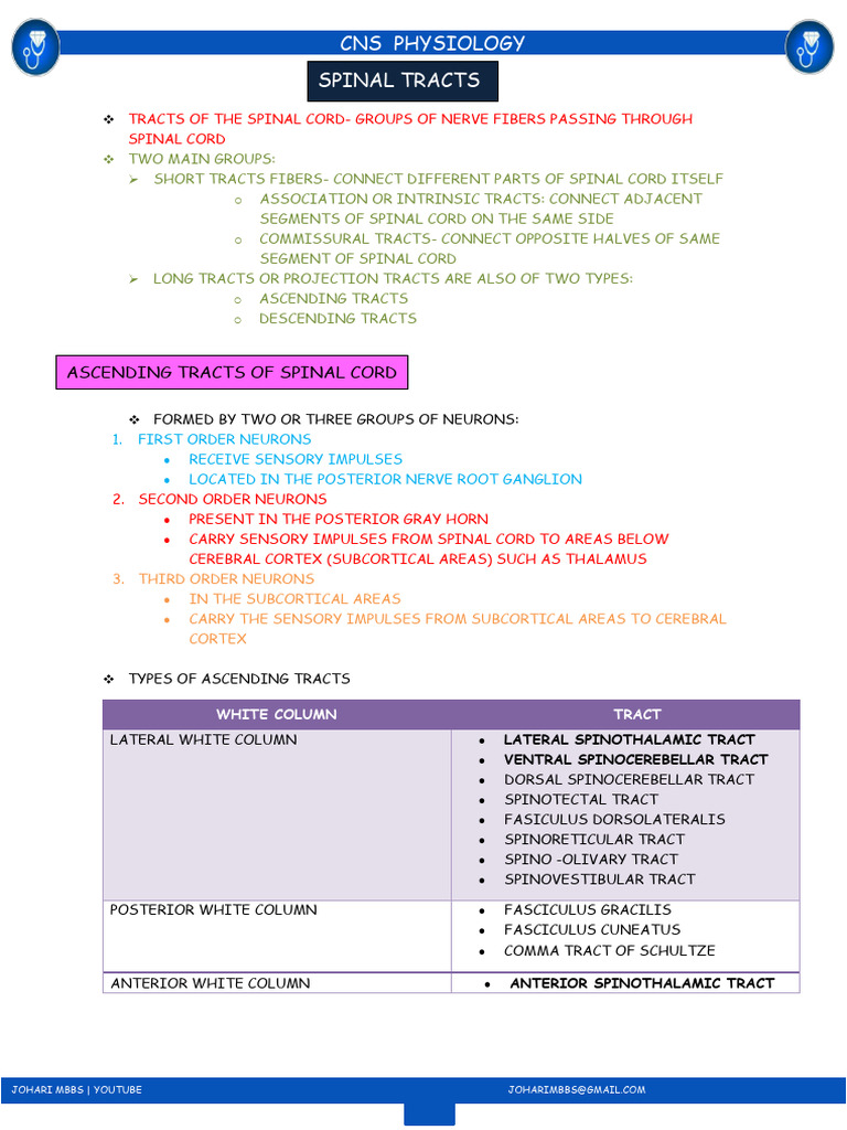 CNS - SPINAL TRACTS | PDF | Spinal Cord | Anatomical Terms Of Location