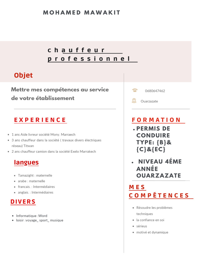 Cv Chauffeur | PDF