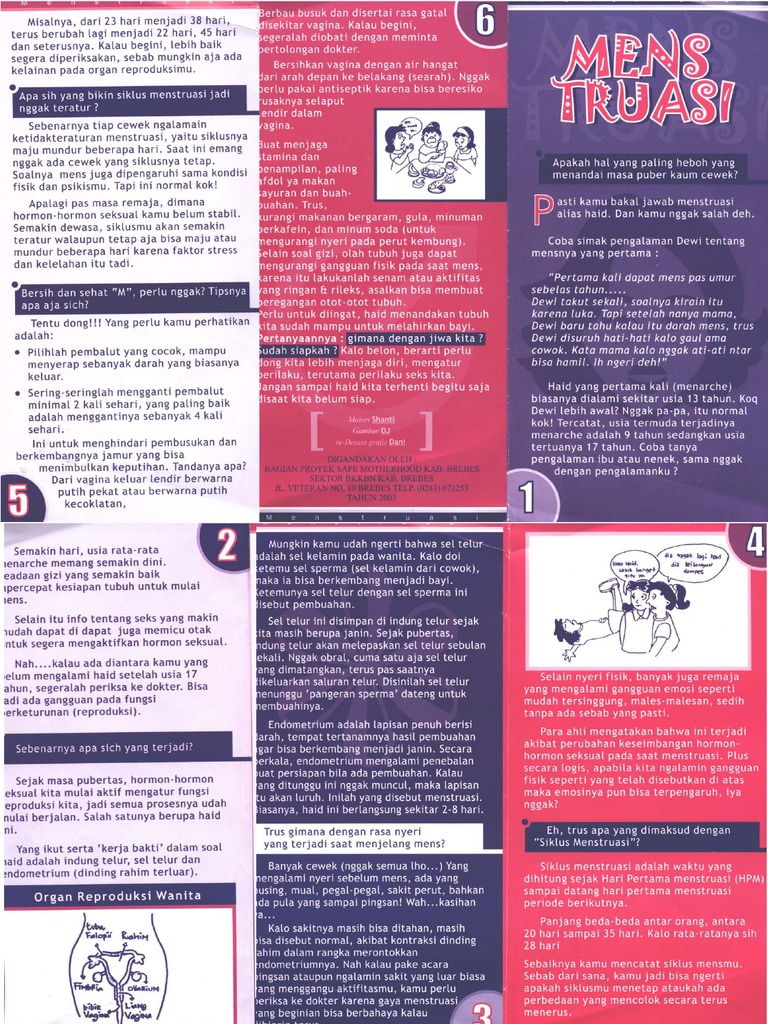 25 Leaflet Menstruasi | PDF