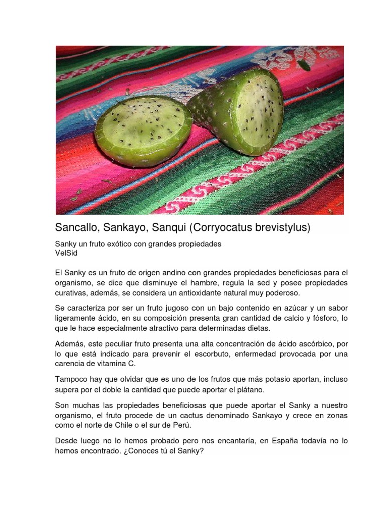 Sancayo o Sanky | PDF