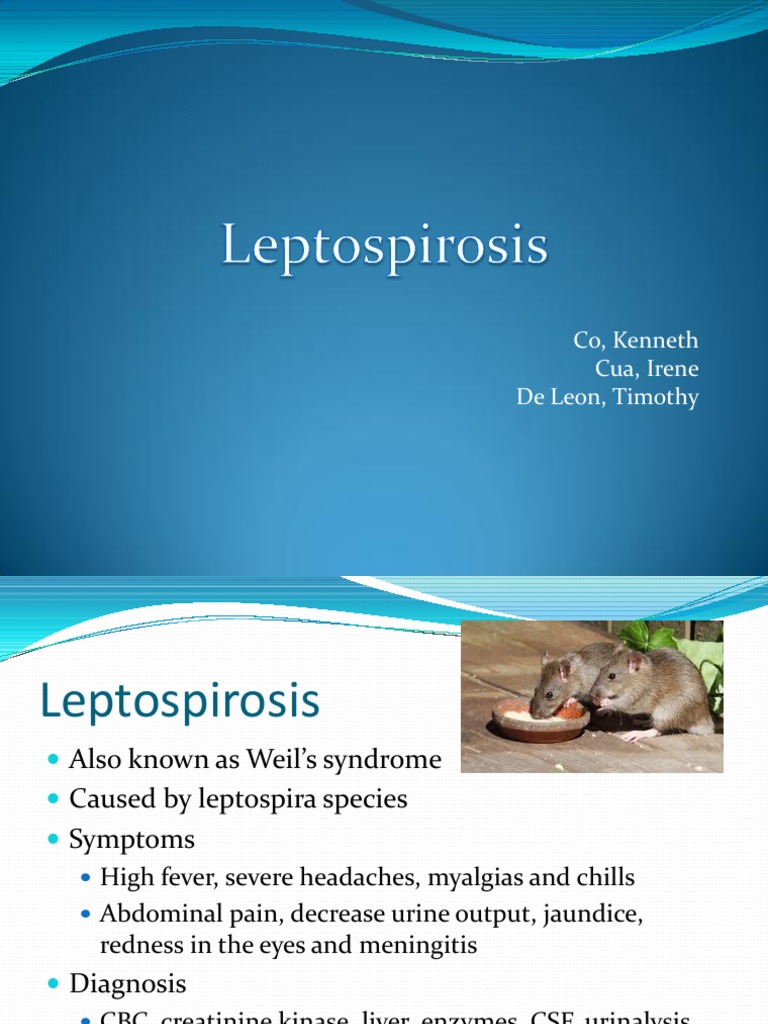 Co, Kenneth Cua, Irene de Leon, Timothy | PDF