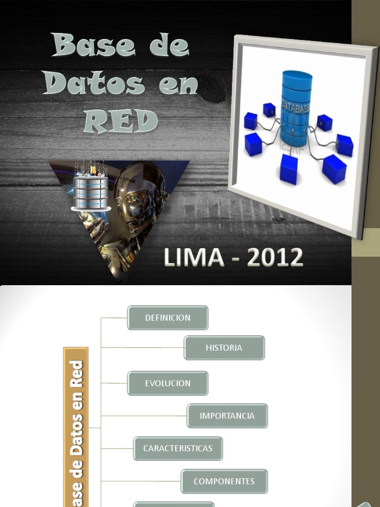 Base de Datos en Red | PDF | Bases de datos | Ingeniería Informática
