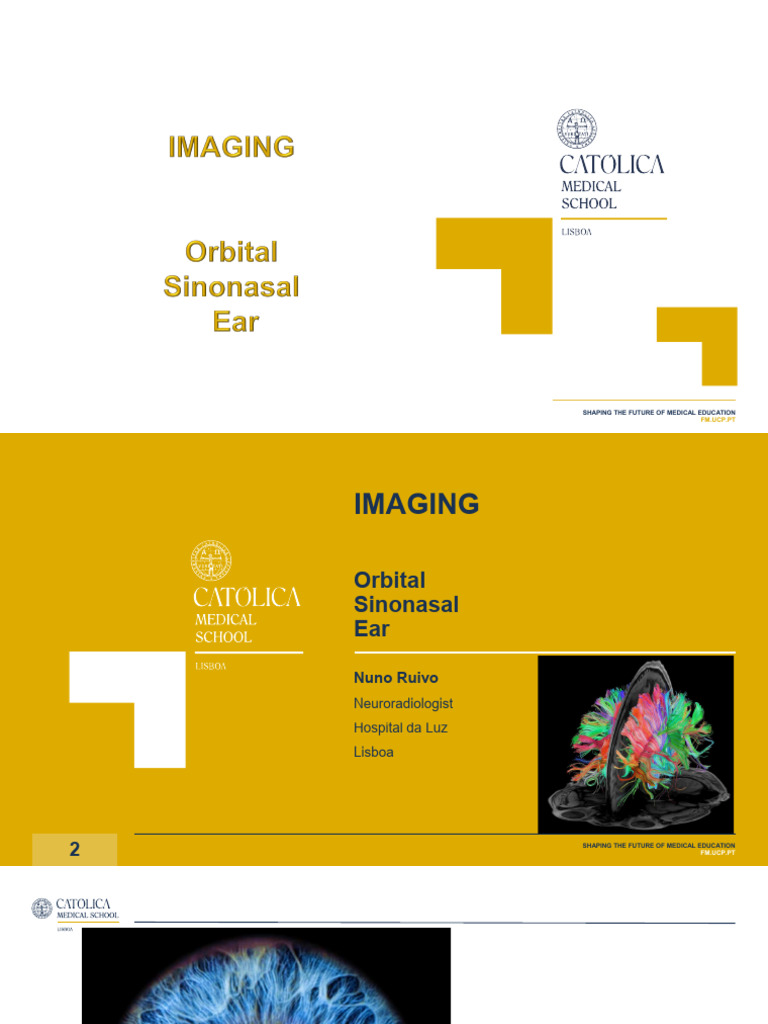 3.4.1 - Imaging 2026 Orbital, Sinonasal, Ear | PDF | Medical Imaging ...