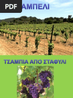 ΤΟ ΨΑΡΙ ΠΟΥ ΔΕΝ ΗΞΕΡΕ ΝΑ ΚΟΛΥΜΠΑΕΙ | PDF