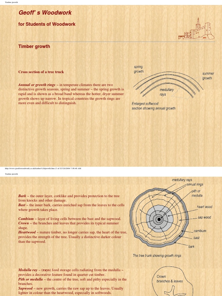 Timber Growth | PDF | Wood | Lumber
