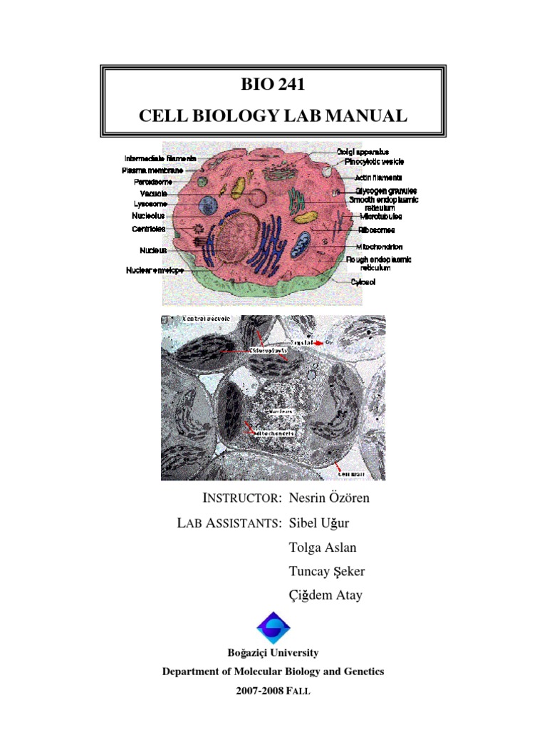 Cell Bio Lab Manual | PDF | Ultraviolet–Visible Spectroscopy | Mitosis