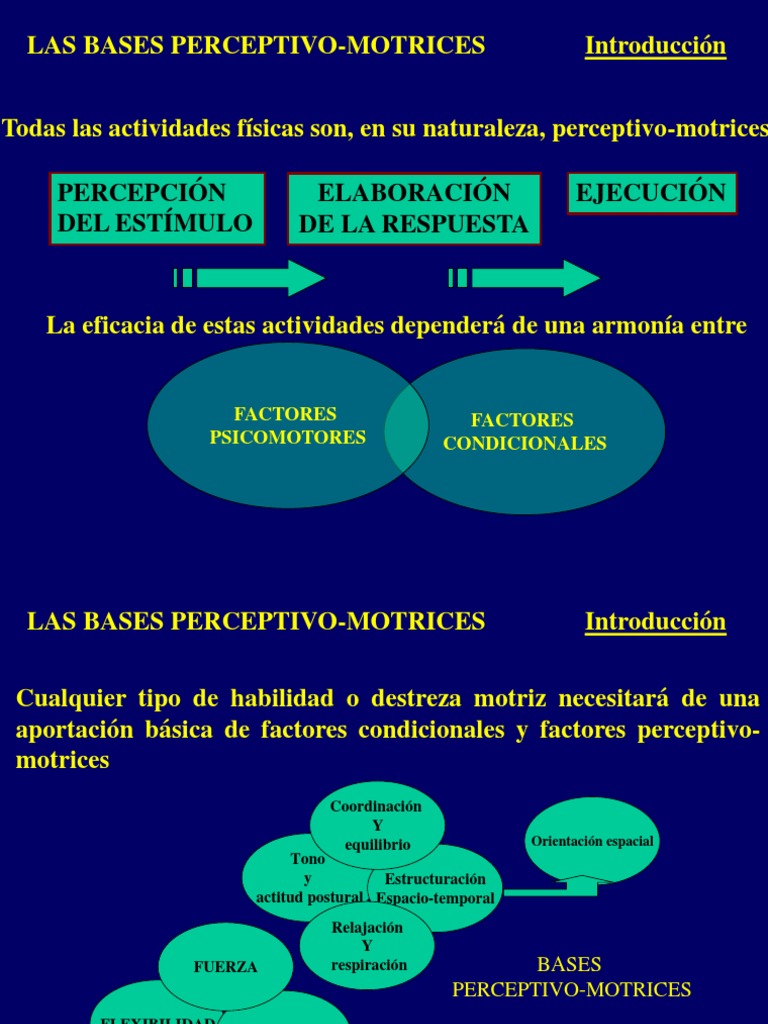 El Esquema Corporal | PDF | Percepción | Cerebro