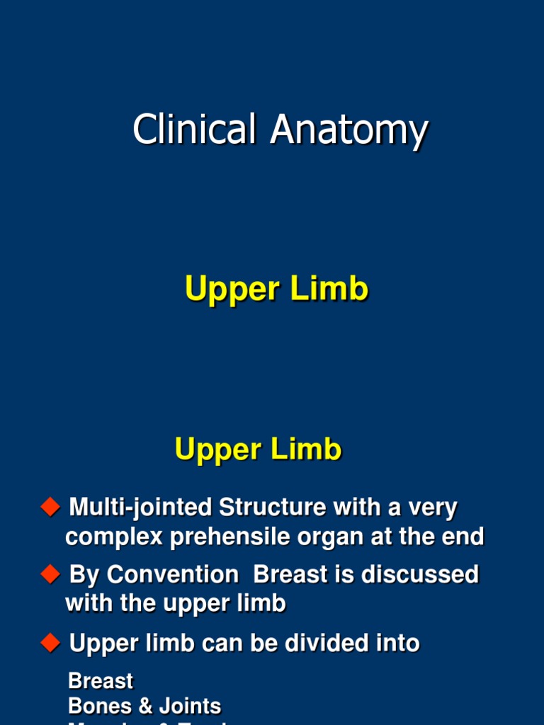 Upper Limb - Clinical Anatomy | PDF | Elbow | Arm