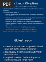 Muscle OIA | PDF | Vertebral Column | Vertebra