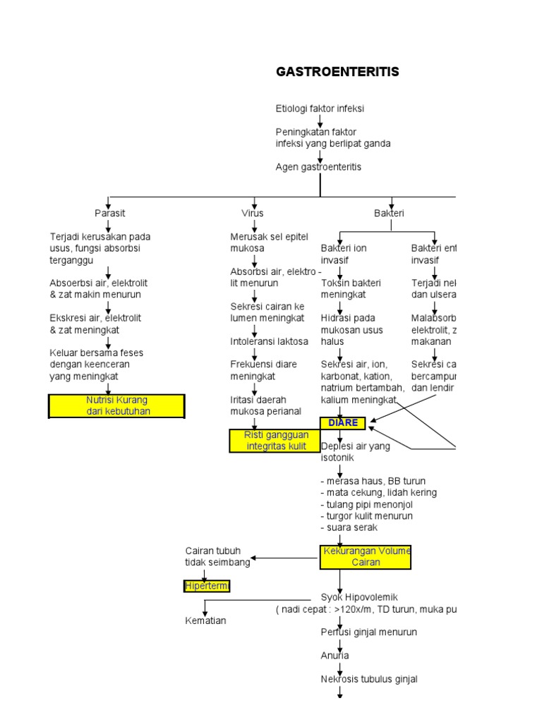 Gastroenteritis Patofisiologi | PDF
