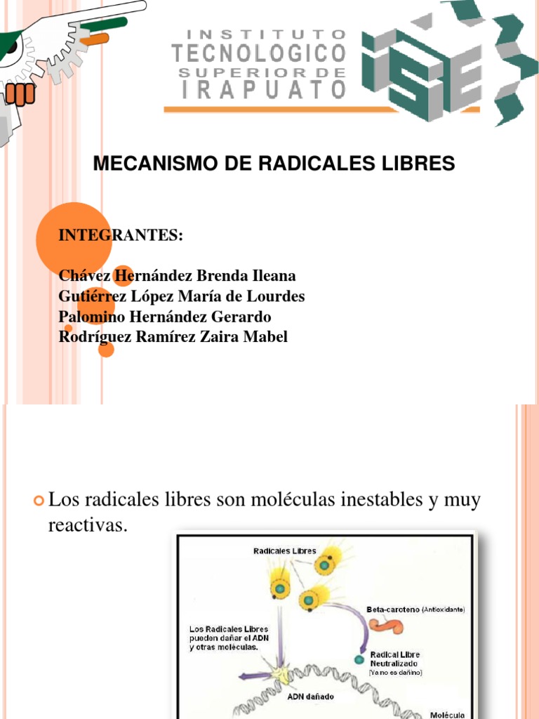 Mecanismo de Radicales Libres en Células | PDF | Radical (Química ...