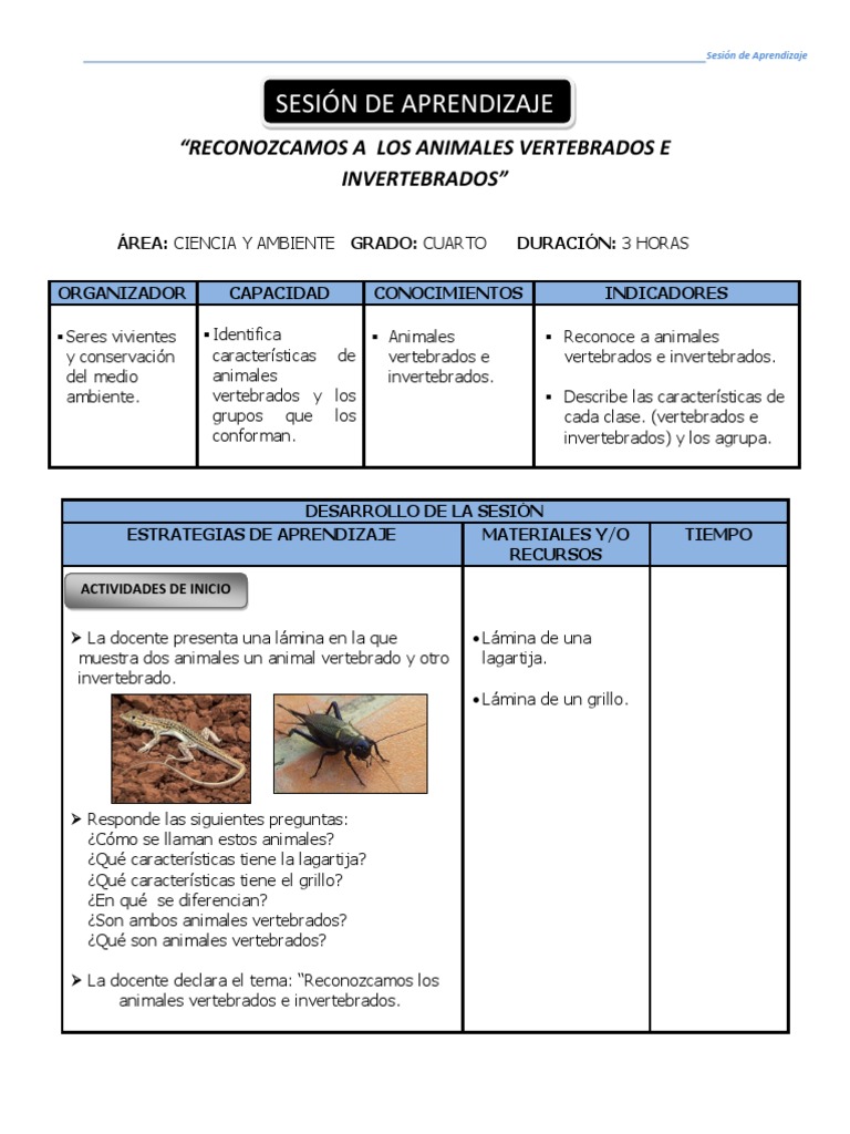 Sesión de Aprendizaje-Los Animales | Descargar gratis PDF ... Sesión de Aprendizaje-Los Animales | Descargar gratis PDF ...