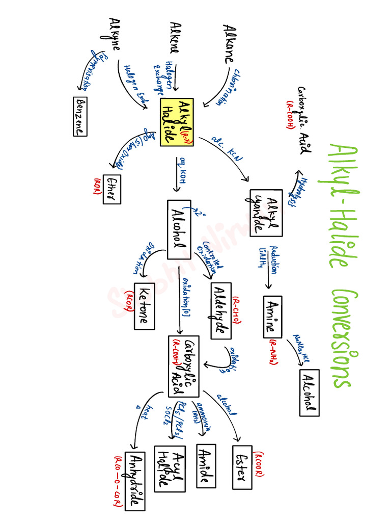 Alkyl Halide Conversions Shobhit Nirwan | PDF