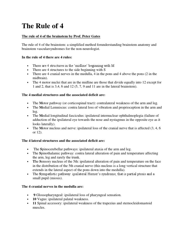 Neurology Rule of 4 | Brainstem | Animal Anatomy
