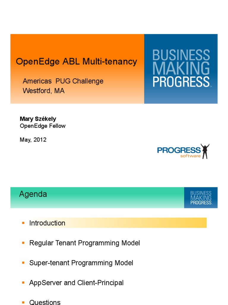4gl Programming For Openedge Multi Tenant Databases Database Index Databases 