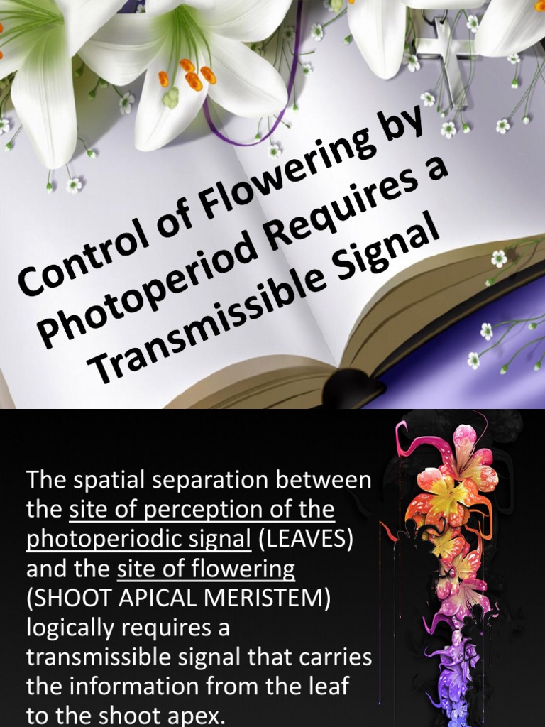 Florigen and Temperature | PDF | Plant Physiology | Life Sciences