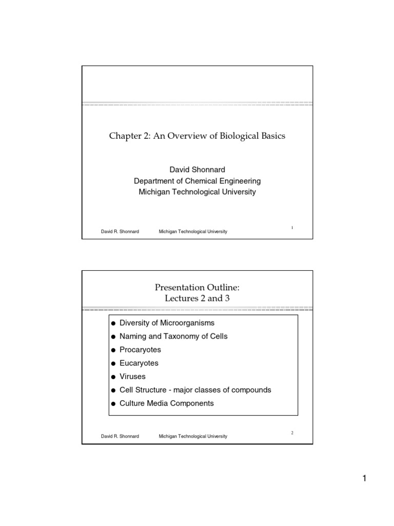 An Overview Biological Basics | PDF | Cell (Biology) | Eukaryotes