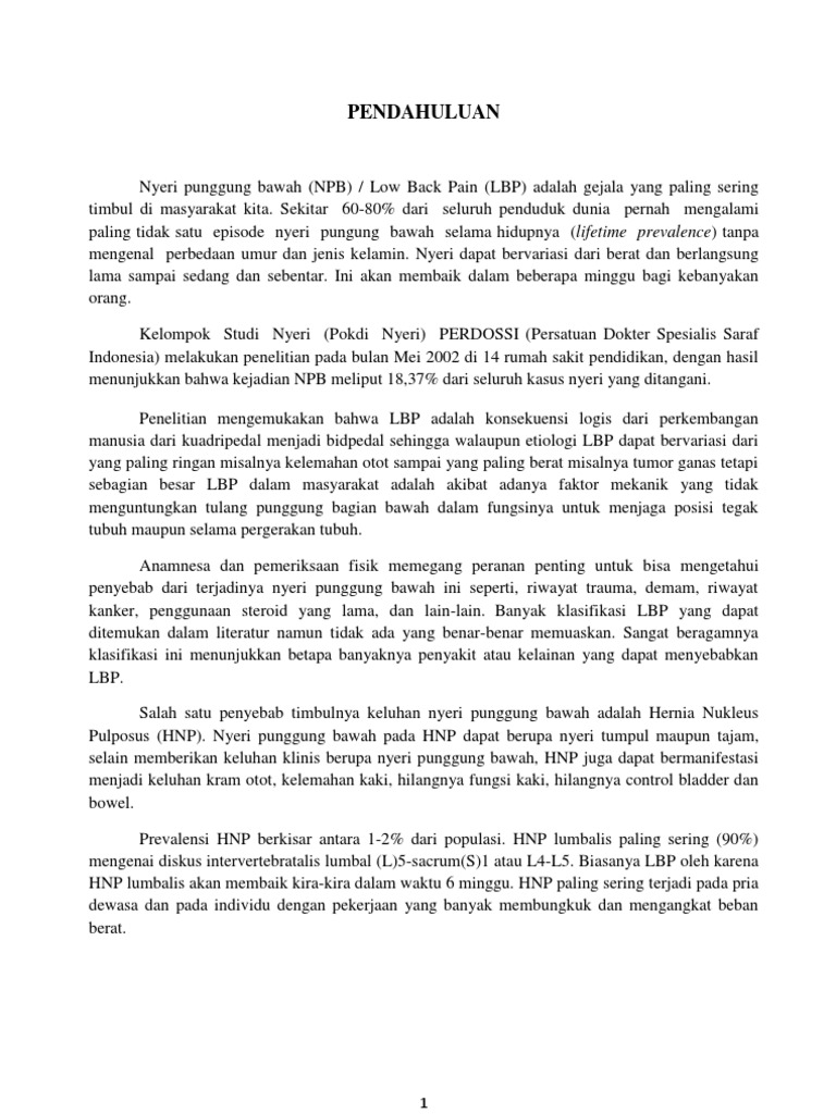 Lapkas RM LBP E.C HNP | PDF