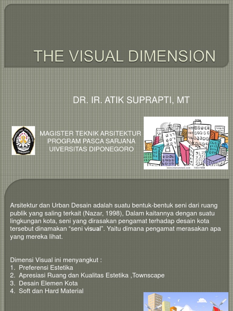 The Visual Dimension | PDF | Seni