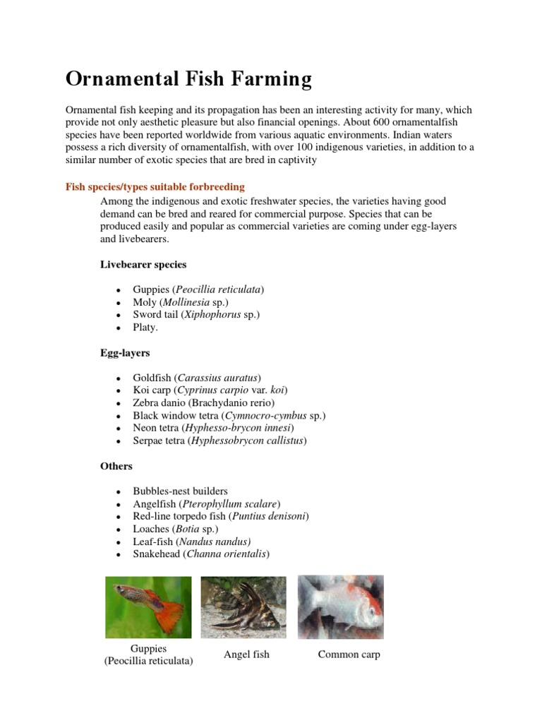 Ornamental Fish Farming | PDF | Fishkeeping | Fish