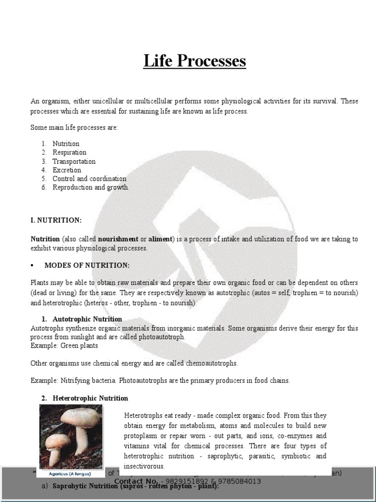 The Processes of Life: An Overview of Nutrition, Respiration ...