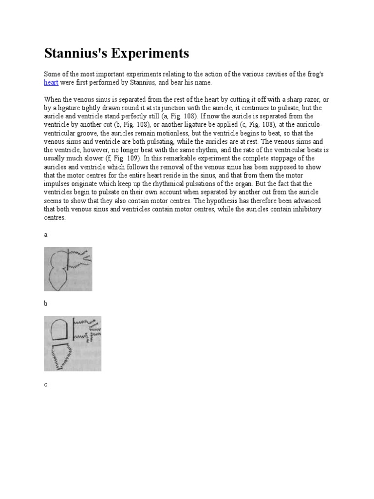 Stannius | PDF | Atrium (Heart) | Vagus Nerve