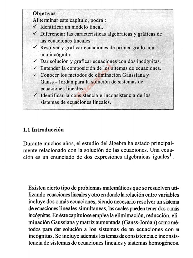 El Modelo Lineal | PDF | Ecuaciones | Sistema de ecuaciones lineales