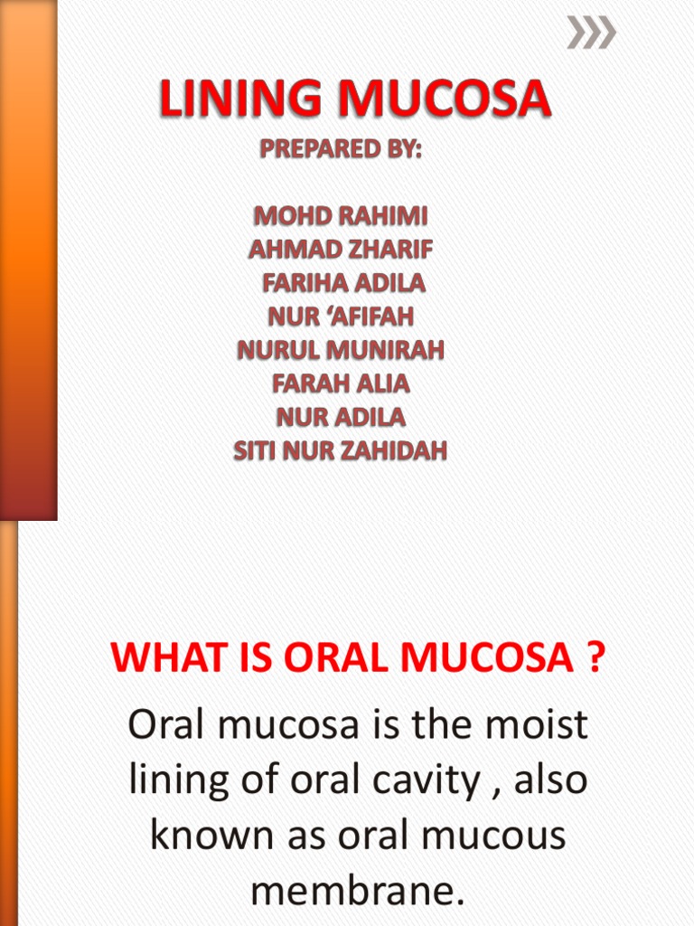 Lining Mucosa | PDF | Mouth | Human Anatomy